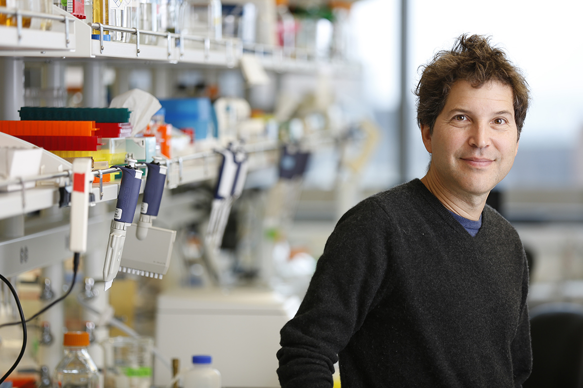 How AI is changing the way scientists make drugs, biosensors, enzymes and more - CoMotion