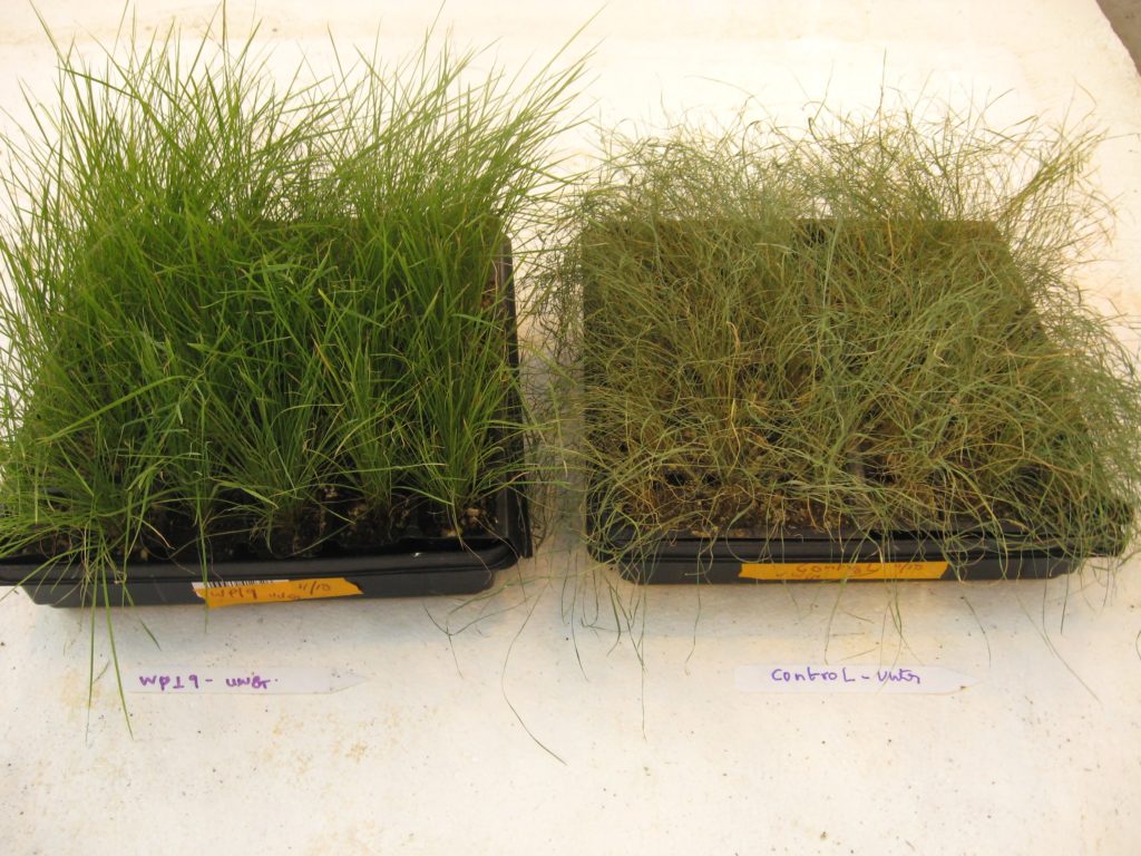 UW Researcher Spotlight: Professor Sharon Doty